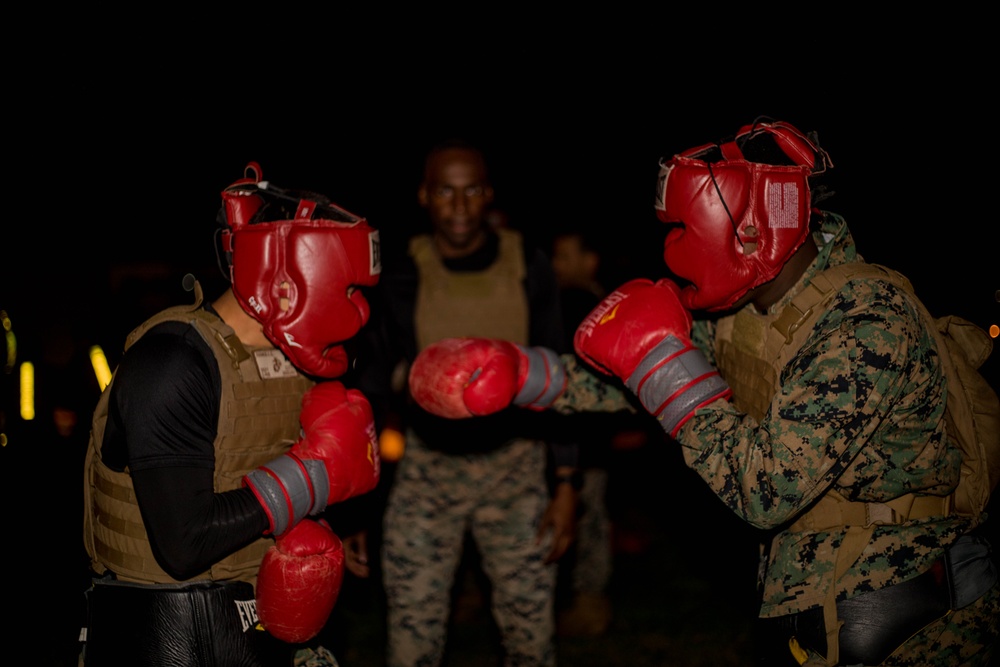 DVIDS - Images - 3rd MLG MCMAP Culminating Event [Image 7 of 18]