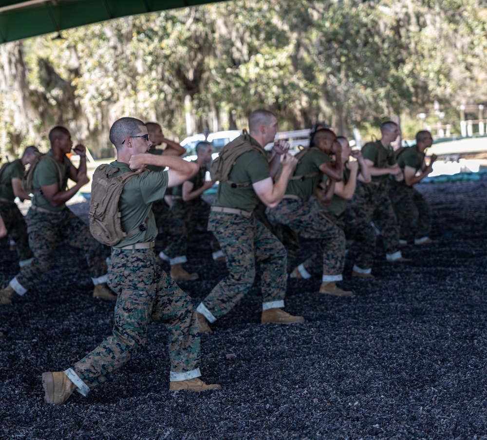 DVIDS - Images - Mike Company MCMAP [Image 3 of 4]