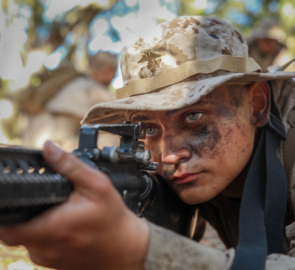 DVIDS - Images - Charlie Company Crucible [Image 1 of 3]