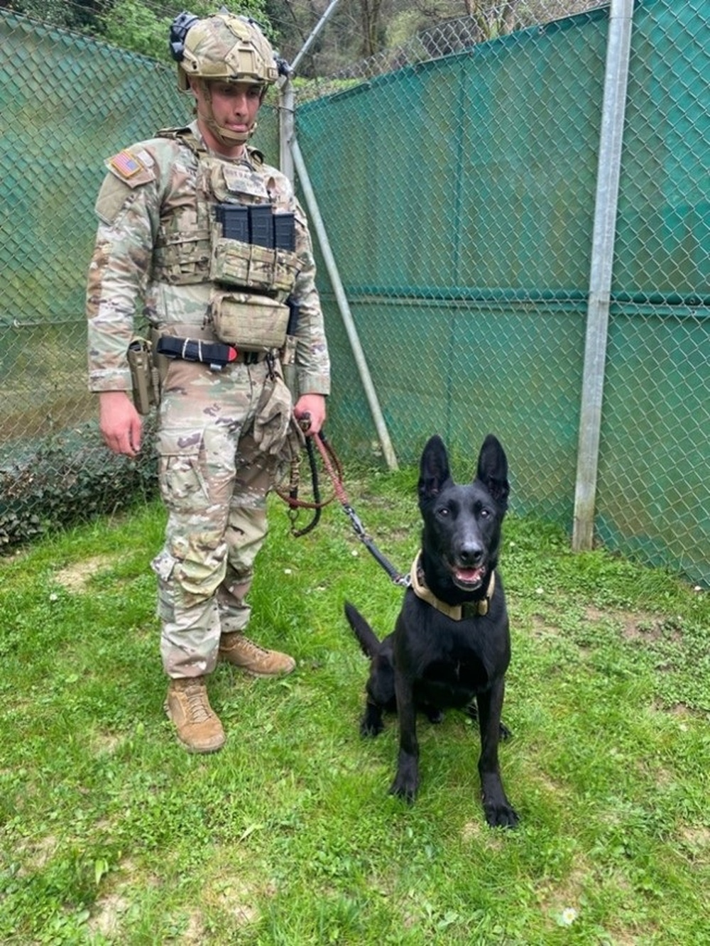 DVIDS - News - Not All Soldiers Wear Green—Some Have Four Legs