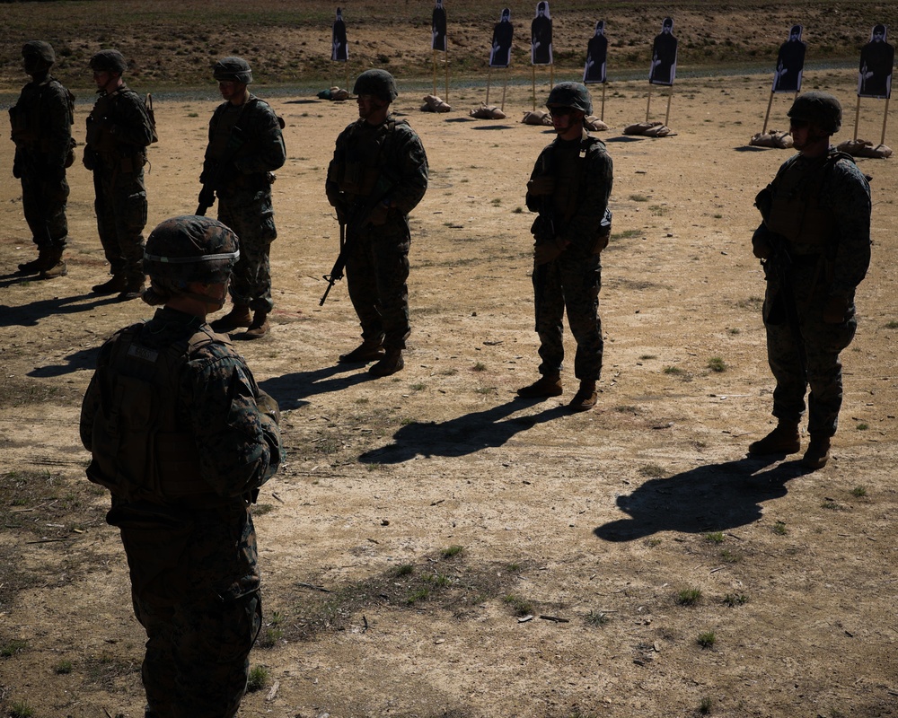 DVIDS - Images - AMTP Bravo Co. [Image 5 of 5]