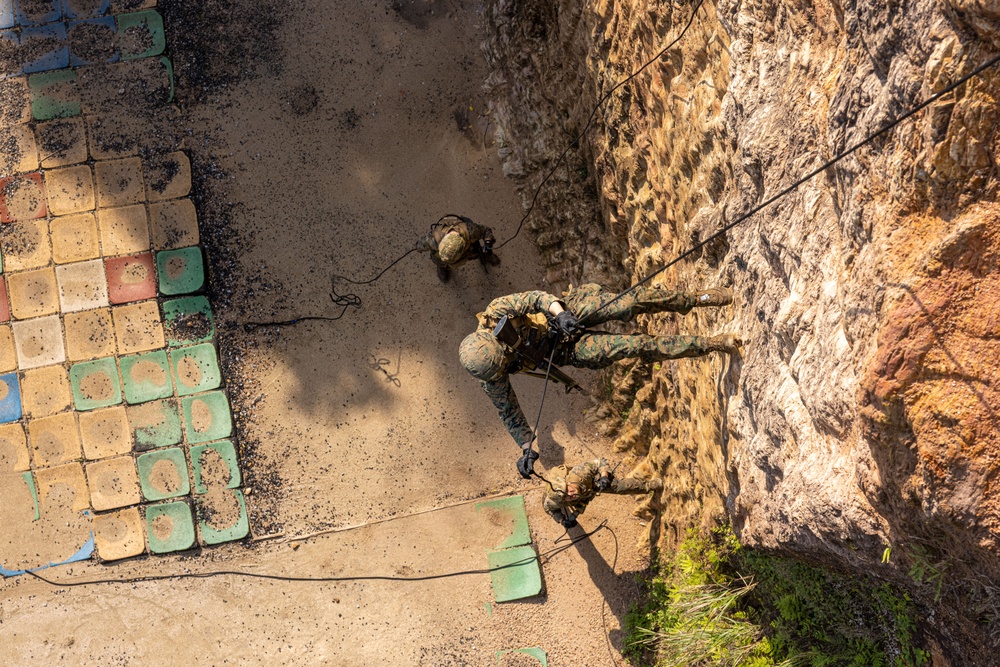 DVIDS - Images - U.S. Marines Execute Casualty Evacuation Training ...
