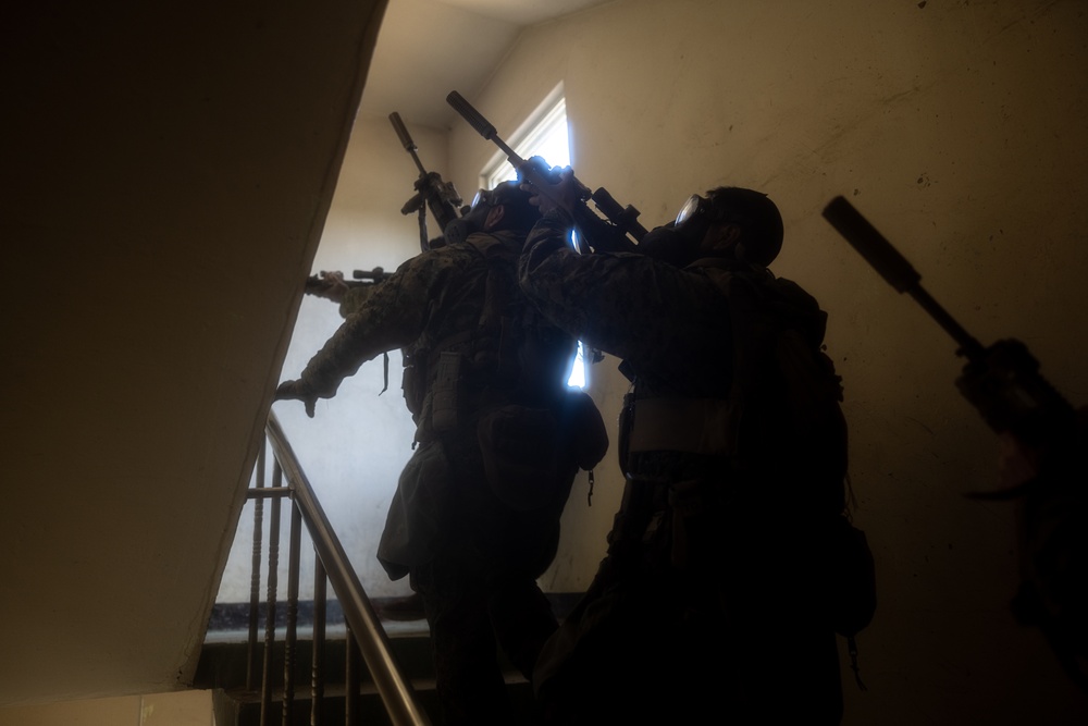 DVIDS - Images - Activated Reserve Marines Conduct MOUT Training during ...