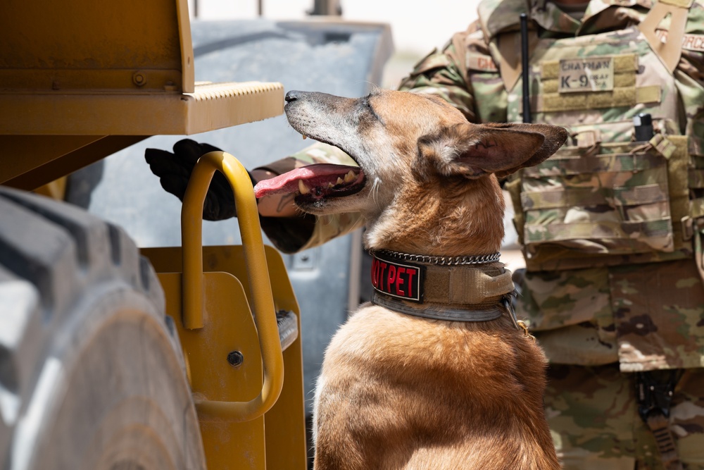 DVIDS - Images - Police Week 2025: 378th ESFS Military Working Dogs ...