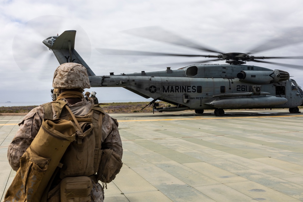 DVIDS - Images - V31 executes EOTG TRAP course [Image 3 of 16]