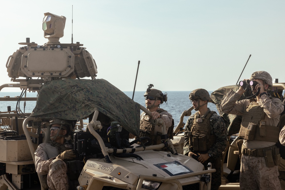 DVIDS - Images - 22nd MEU | 2d LAAD ADEX During ARGMEUEX [Image 2 of 9]
