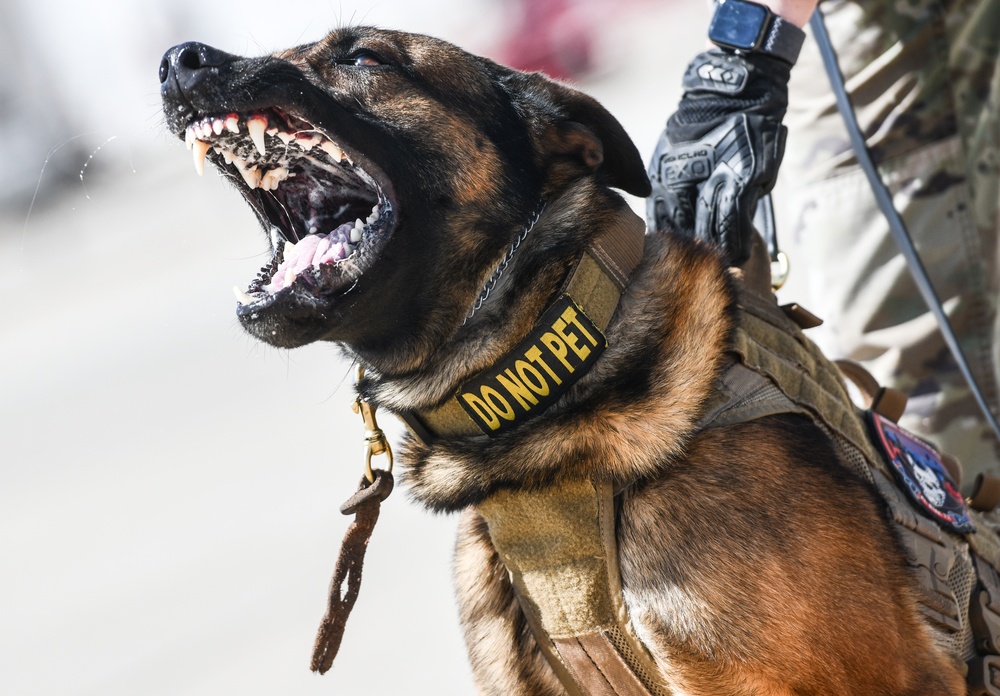 DVIDS - Images - Iron Lightning 25-2 [Image 2 of 5]