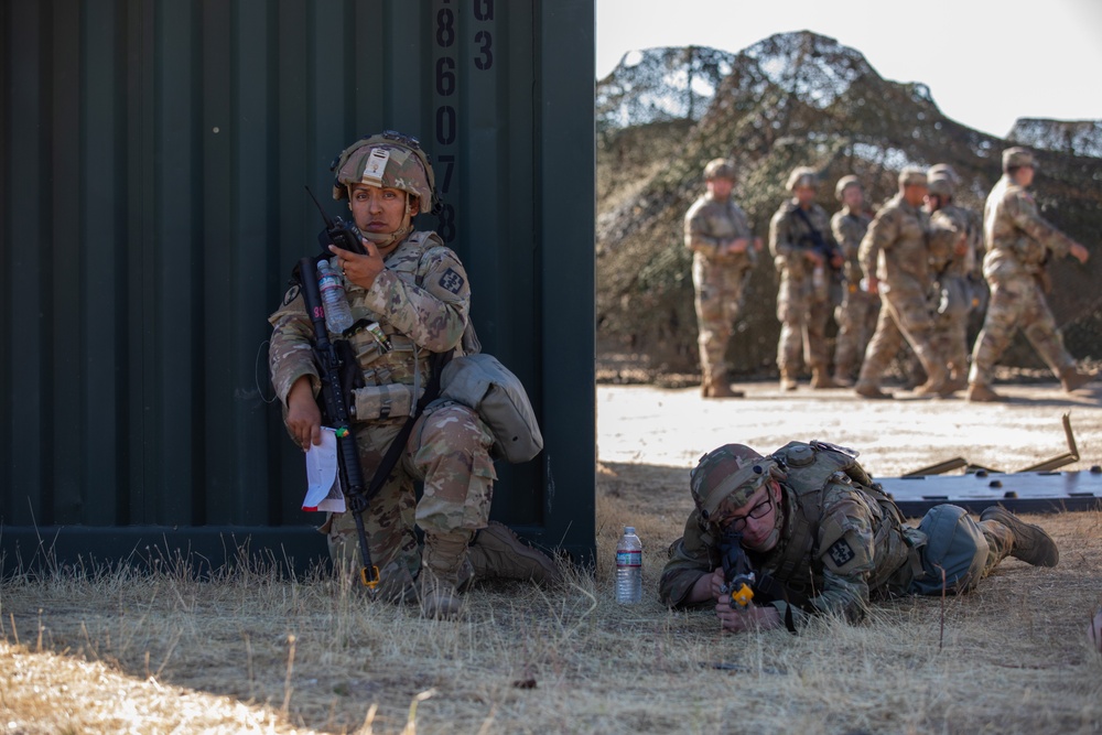 DVIDS - Images - 452nd Field Hospital puts skills to the test in Global ...