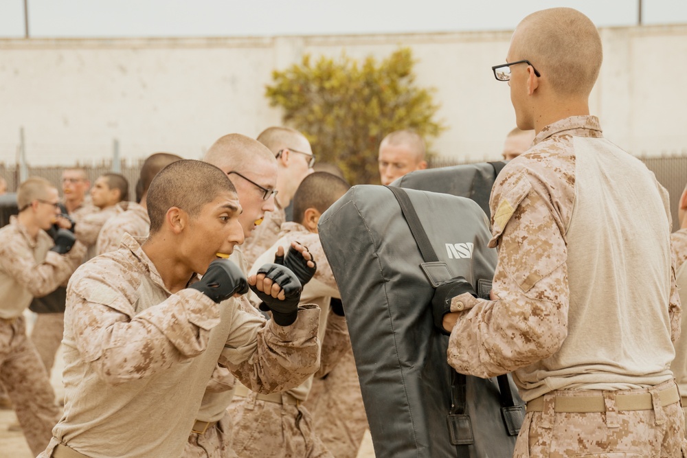 DVIDS - Images - Mike Company Confiedence Course [Image 3 of 11]