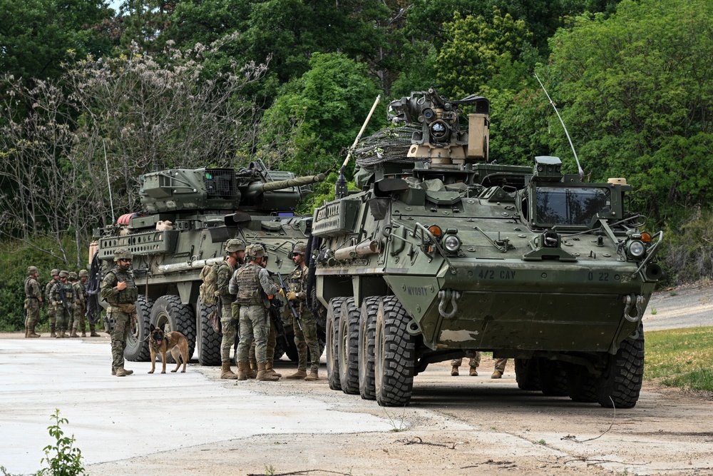 DVIDS - Images - Saber Guardian 25: Urban Operations Training [Image 6 ...