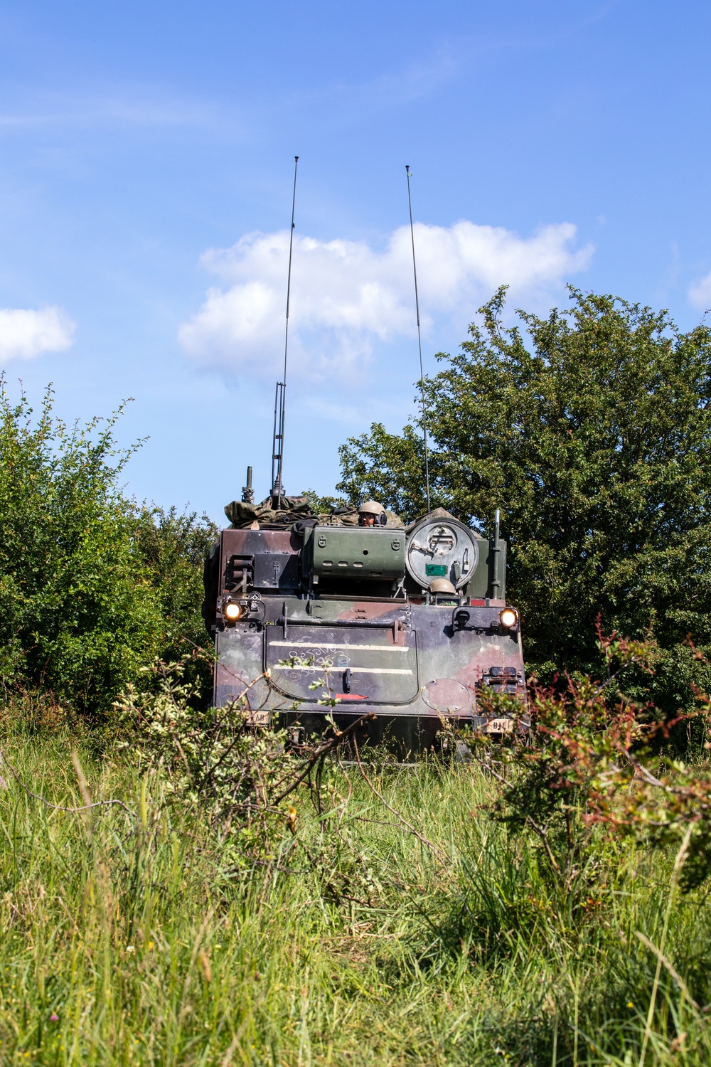 DVIDS - Images - 41st FAB Soldiers react to simulated indirect fire during Saber Guardian 25 ...