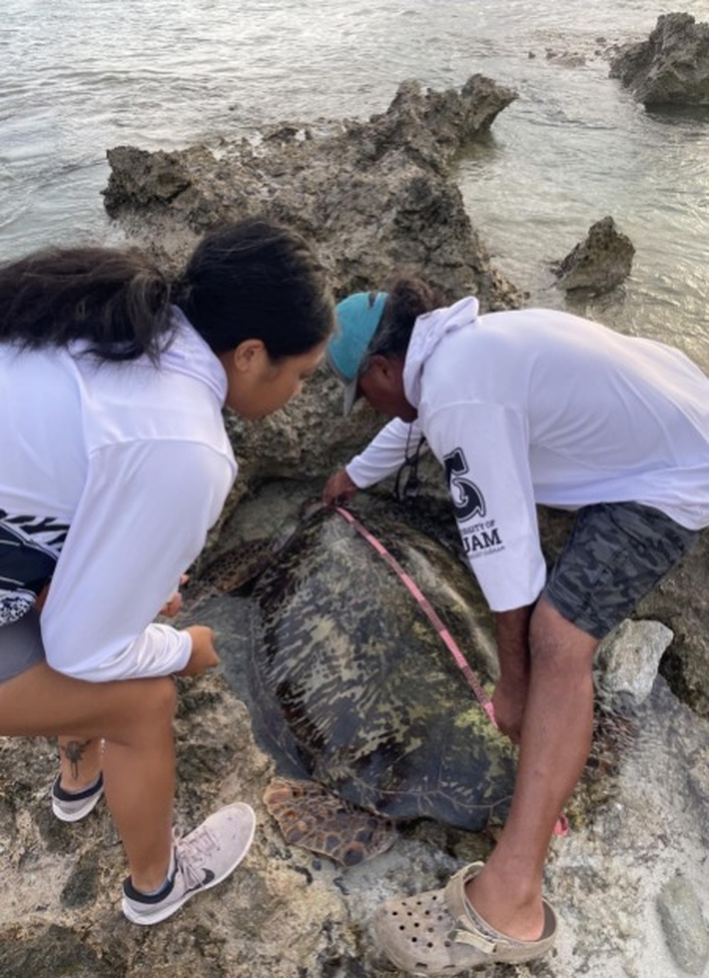 DVIDS - Images - Turtle Patrol [Image 5 of 7]