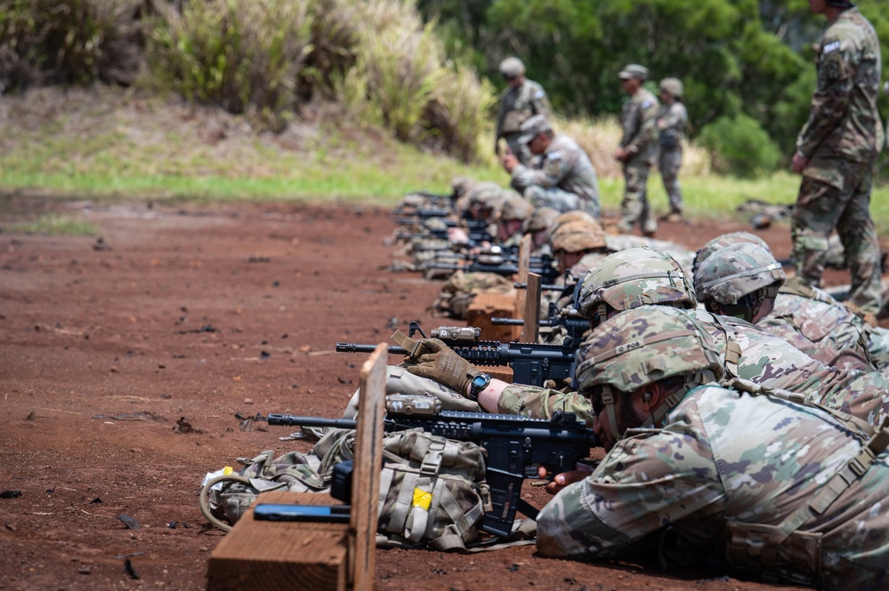 DVIDS - Images - 2025 USARPAC Best Squad Competition M4 Zero Range ...