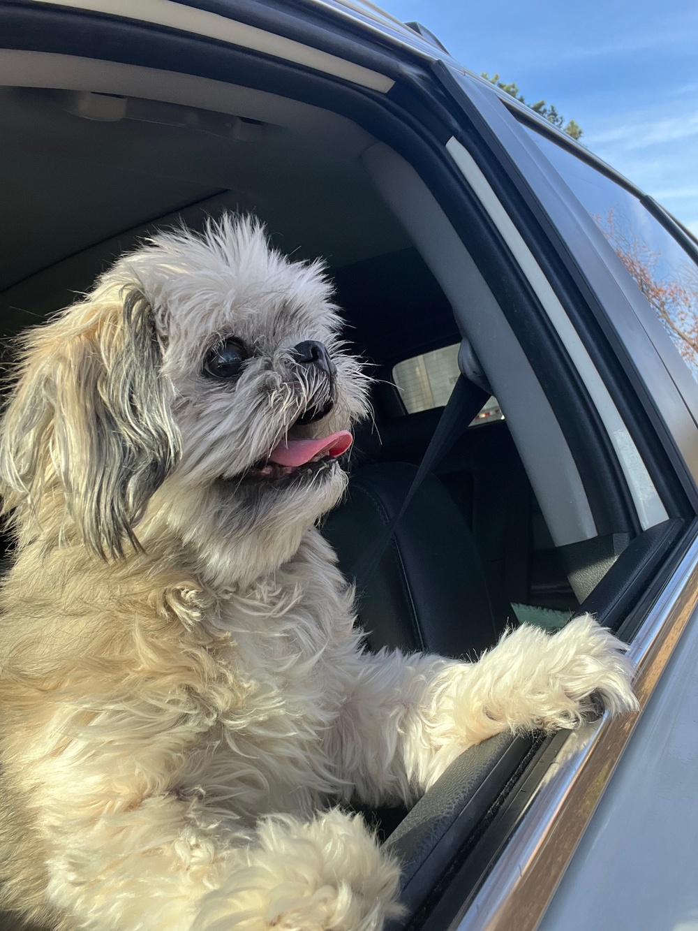 DVIDS - News - Amanda Saunders Has Been Decorated with the Joint ...