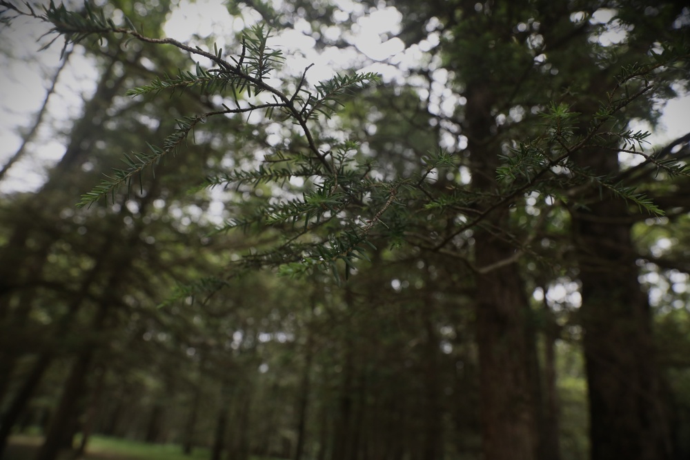 DVIDS - Images - 109th MPAD Executes a Land Navigation Course [Image 5 ...