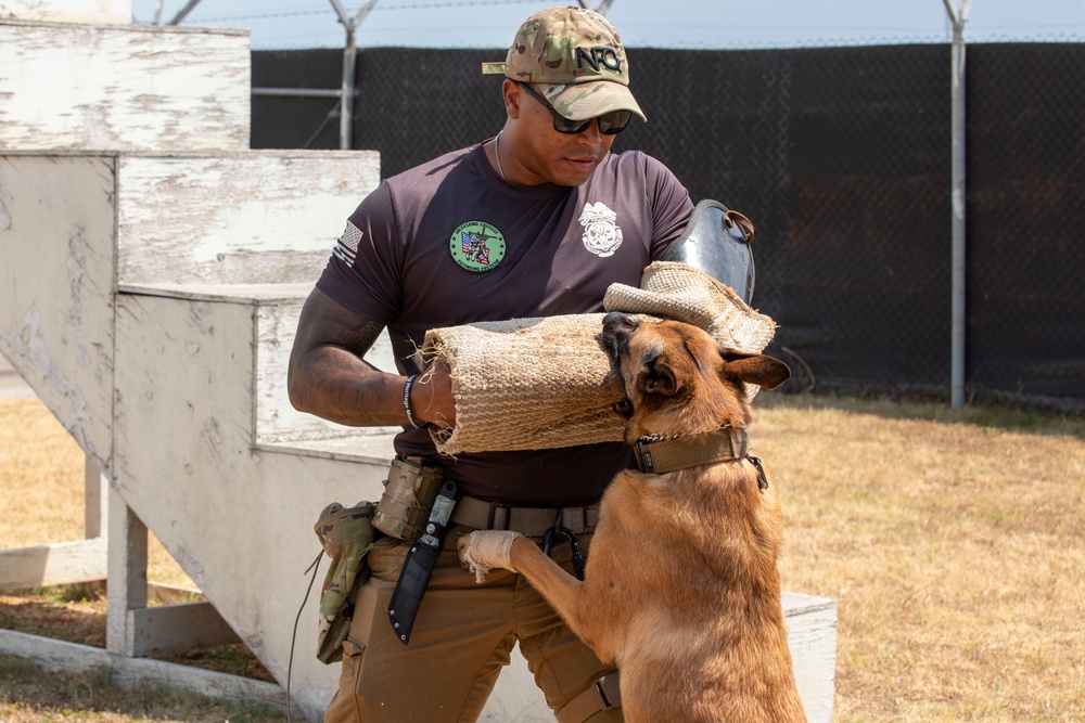 DVIDS - Images - Military Working Dogs Bite Suit Training [Image 1 of 3]