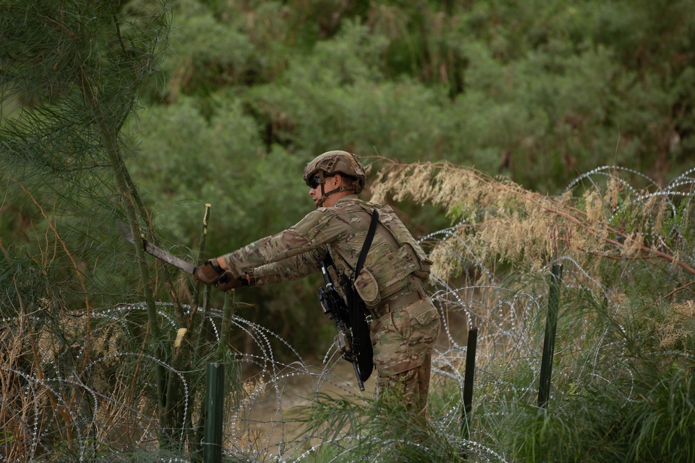 DVIDS - Images - 41st Engineer Battalion improves visibility on the ...