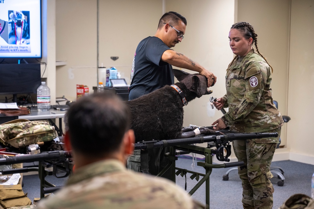 DVIDS - Images - Canine Tactical Combat Casualty Care Course [Image 3 of 6]