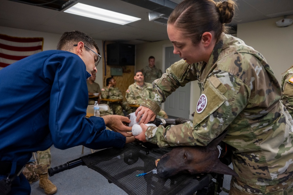 DVIDS - Images - Canine Tactical Combat Casualty Care Course [Image 6 of 6]