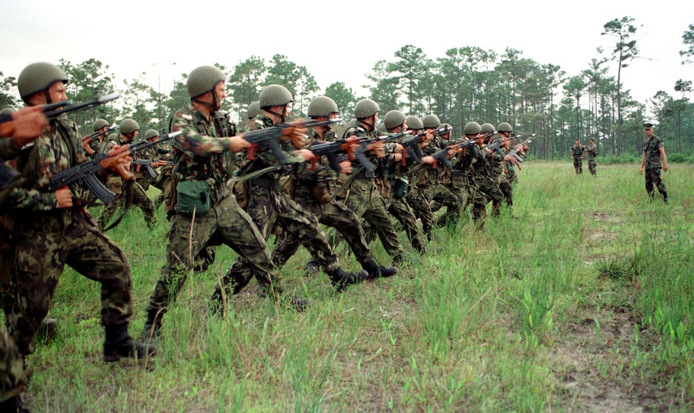 DVIDS - Images - Romanian soldiers form a line across the field as they ...