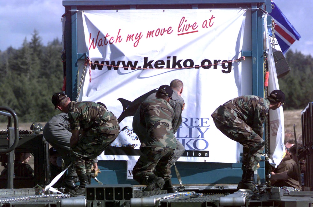 DVIDS - Images - Air Force cargo handlers and loadmasters load Keiko ...