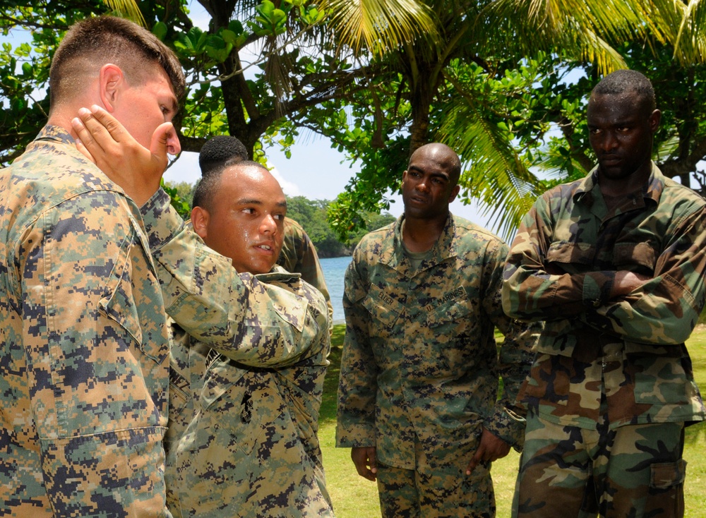 DVIDS - Images - Sgts. Edan Valkner and Juan Martinez demonstrate a ...