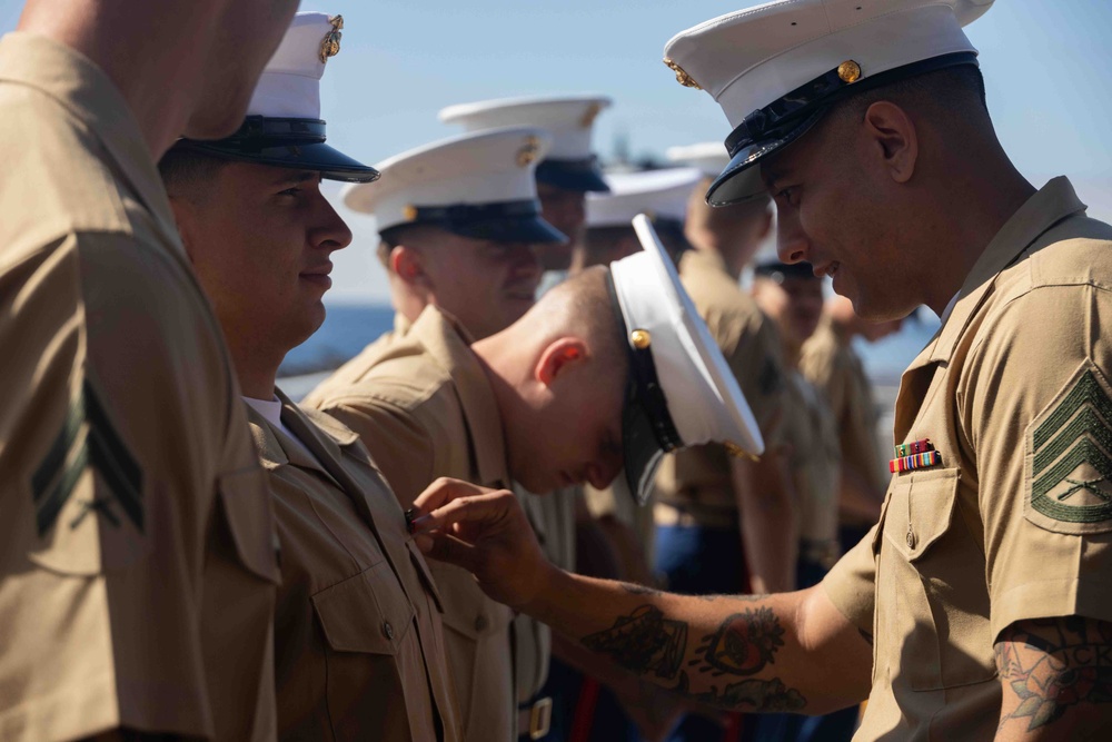 DVIDS - Images - Seattle Fleet Week Uniform Inspection [Image 5 of 5]
