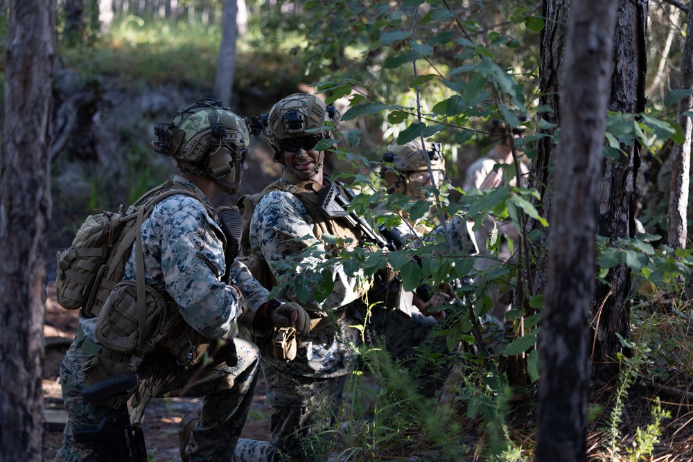 DVIDS - Images - Marines with Advanced Infantry Training Company ...