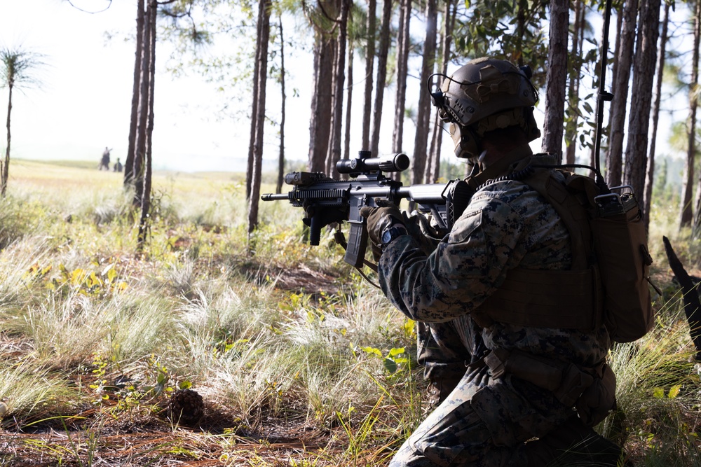 DVIDS - Images - Marines with Advanced Infantry Training Company ...