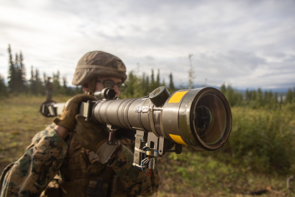 DVIDS - Images - Arctic Edge 2025: 3rd Low Altitude Air Defense ...