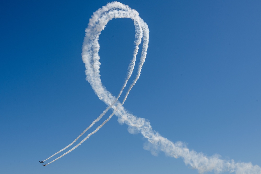 DVIDS - Images - Performers take to the sky at the 2025 Joint Base ...