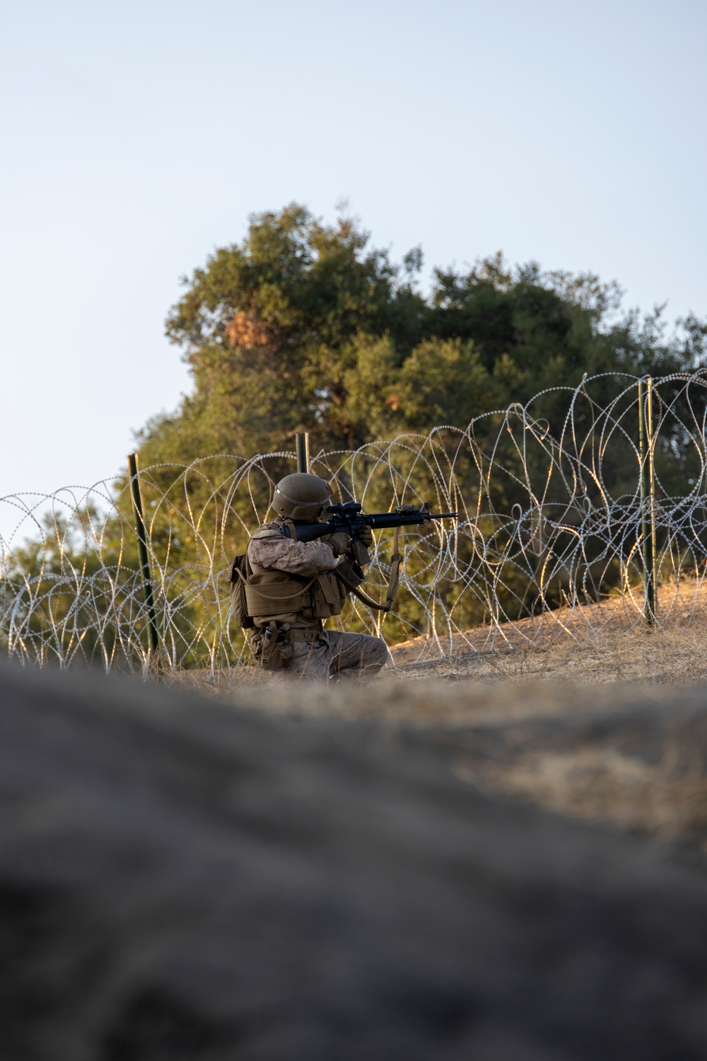 DVIDS - Images - MWSS-373 conducts live-fire training for exercise ...