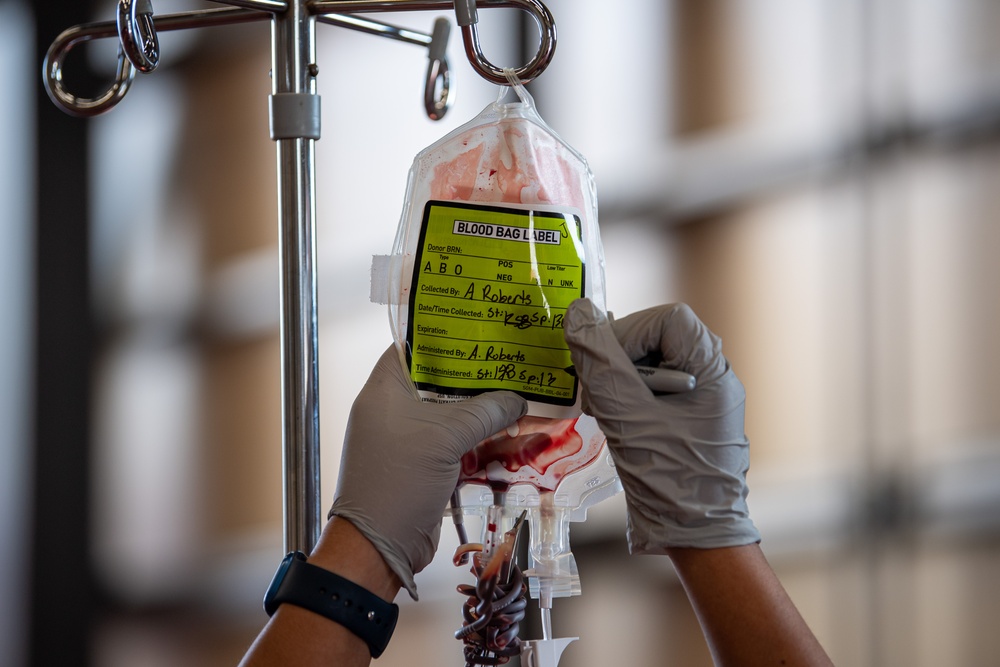 DVIDS - Images - 374 MDG host Valkyrie Blood Transfusion training ...