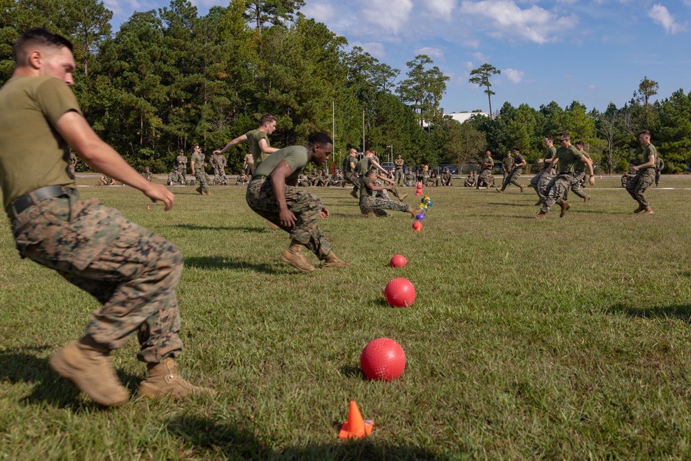 DVIDS - Images - 2nd MLG Headquarters and Service Battalion Marines ...