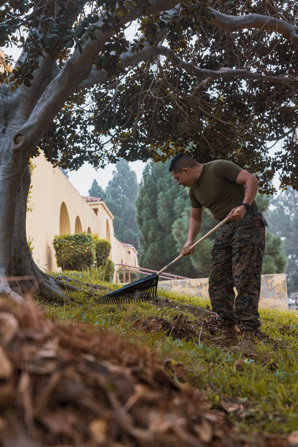 DVIDS - Images - Headquarters and Service Battalion Operation Clean ...