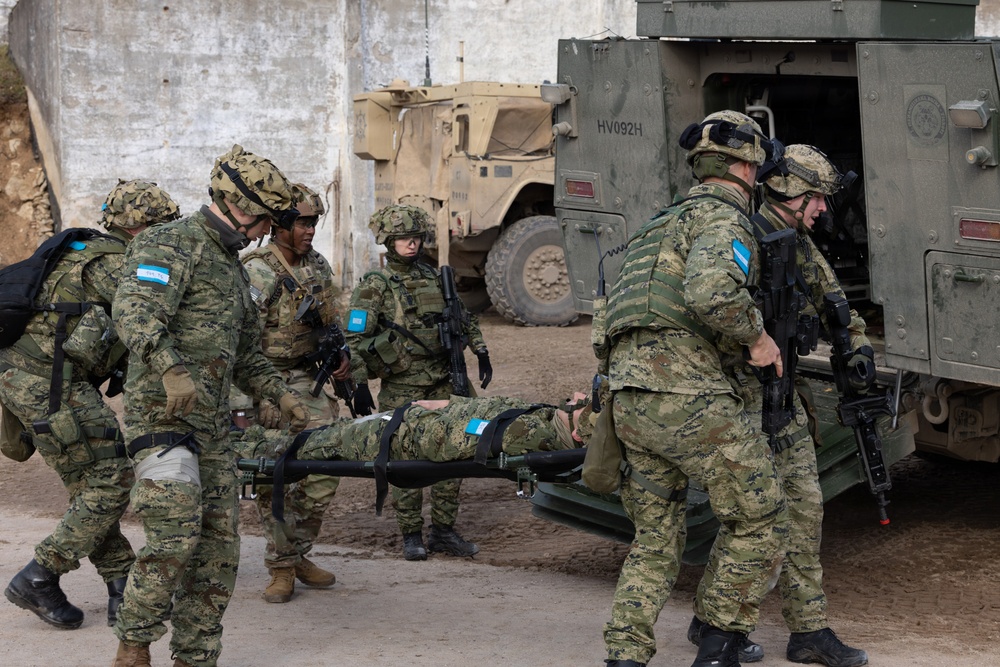 DVIDS - Images - 3-8 Cav conducts Operation Nightmare with NATO allies ...