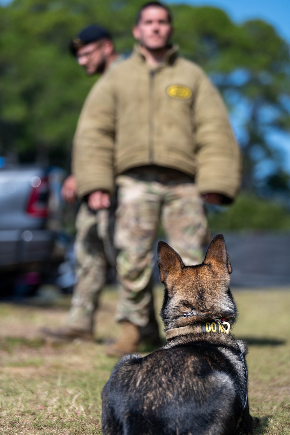 DVIDS - Images - Hurlburt MWDs perform patrol demos [Image 6 of 6]