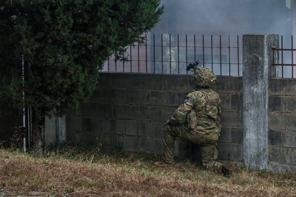 DVIDS - Images - NZDF and 2-2 AHB Air Assault Training [Image 3 of 7]