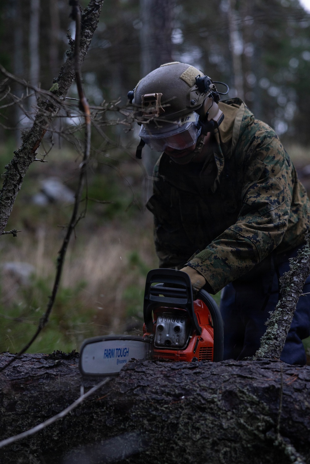 DVIDS - Images - U.S. Marines execute log operations during bilateral ...