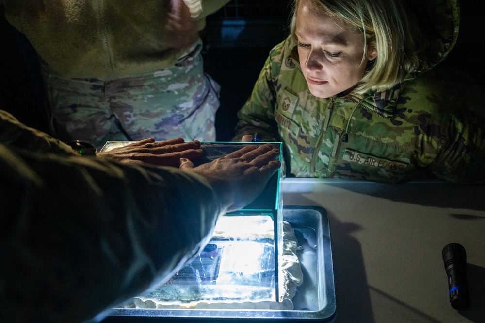 DVIDS - Images - Invisible Becomes Tangible: Ramstein Airmen build ...