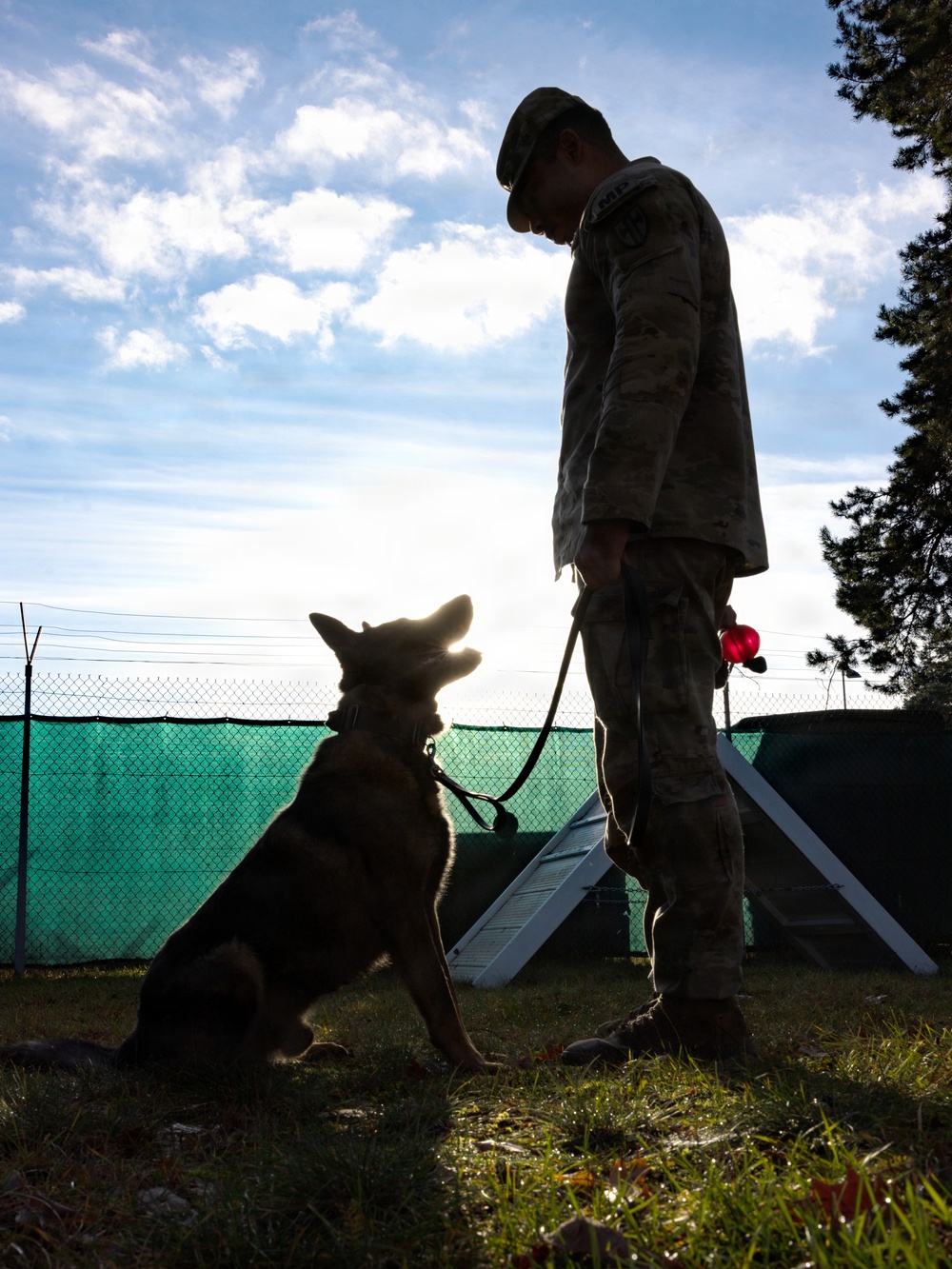 DVIDS - Images - A Soldier's Best Friend [Image 16 of 37]