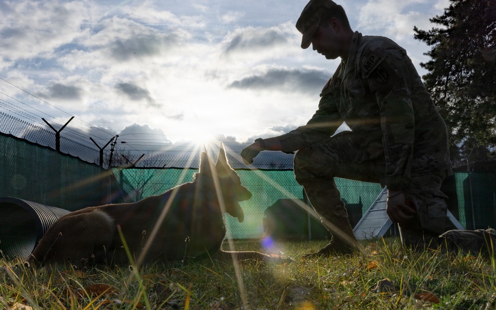 DVIDS - Images - A Soldier's Best Friend [Image 30 of 37]