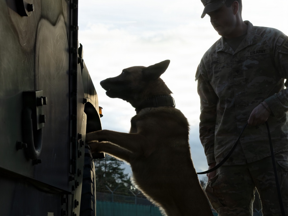 DVIDS - Images - A Soldier's Best Friend [Image 27 of 37]