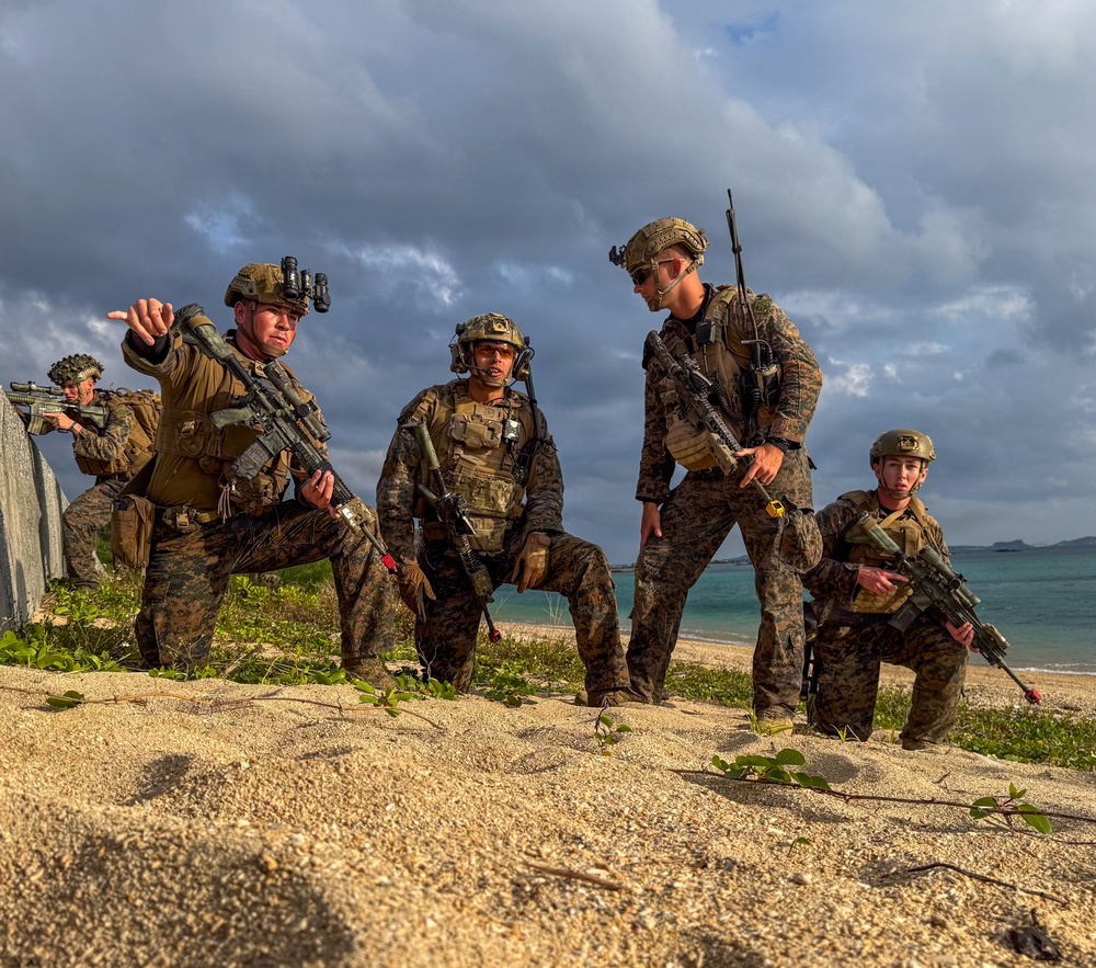 DVIDS - Images - 31st MEU | India Co. conducts beach raid [Image 9 of 10]