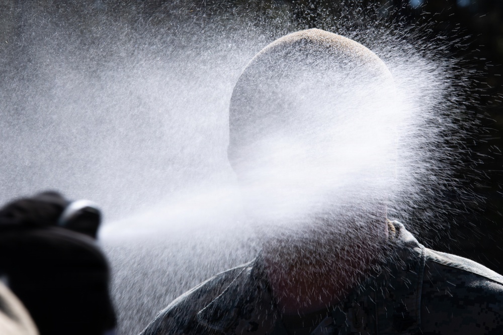 DVIDS - Images - Marine Corps Marital Art Instructor course OC spray ...