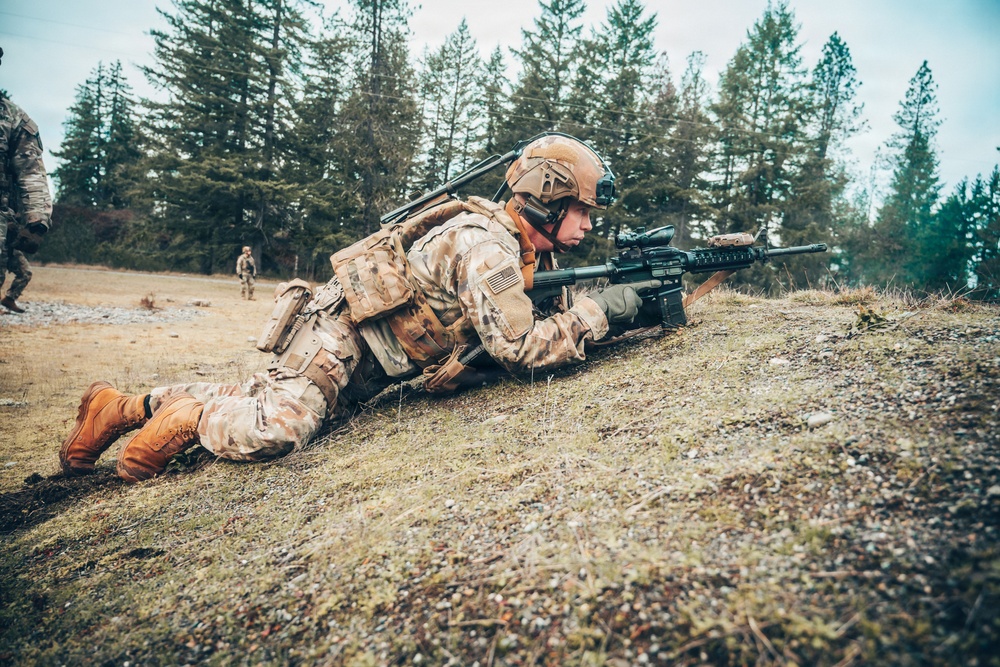 DVIDS - Images - 5SFAB conducts buddy team live fire training [Image 5 ...