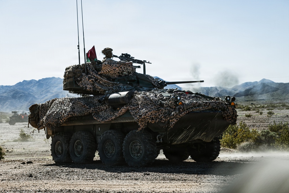 DVIDS - Images - Marines with 1st LAR execute platoon attacks [Image 8 ...