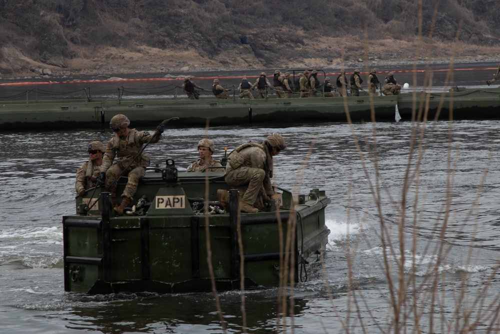 DVIDS - Images - Freedom Shield 26 Wet Gap Crossing [Image 2 of 5]